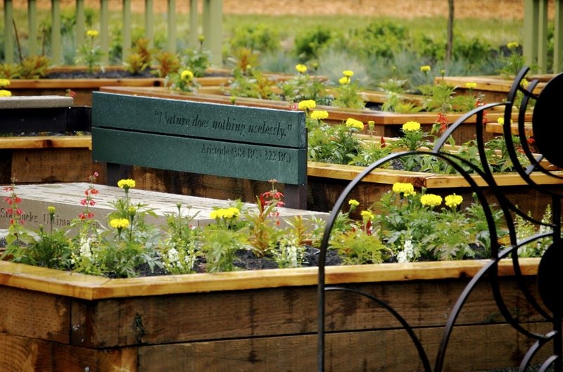 White Center Parks – White Center Teen Program