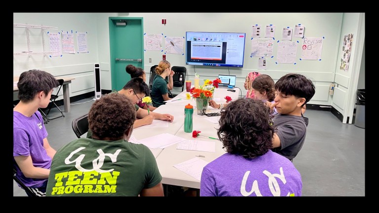 Summer in Skyway – White Center Teen Program